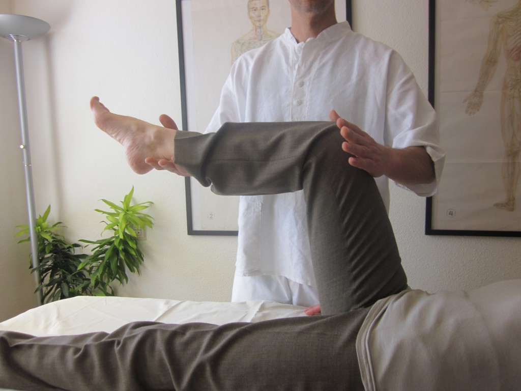 Bases de la Kinesiología: Parte I | AcupuntSalud